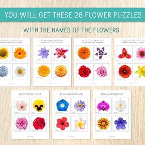 Flower Symmetry Puzzles, Matching Activity, 28 Cards, Toddler Preschool ...