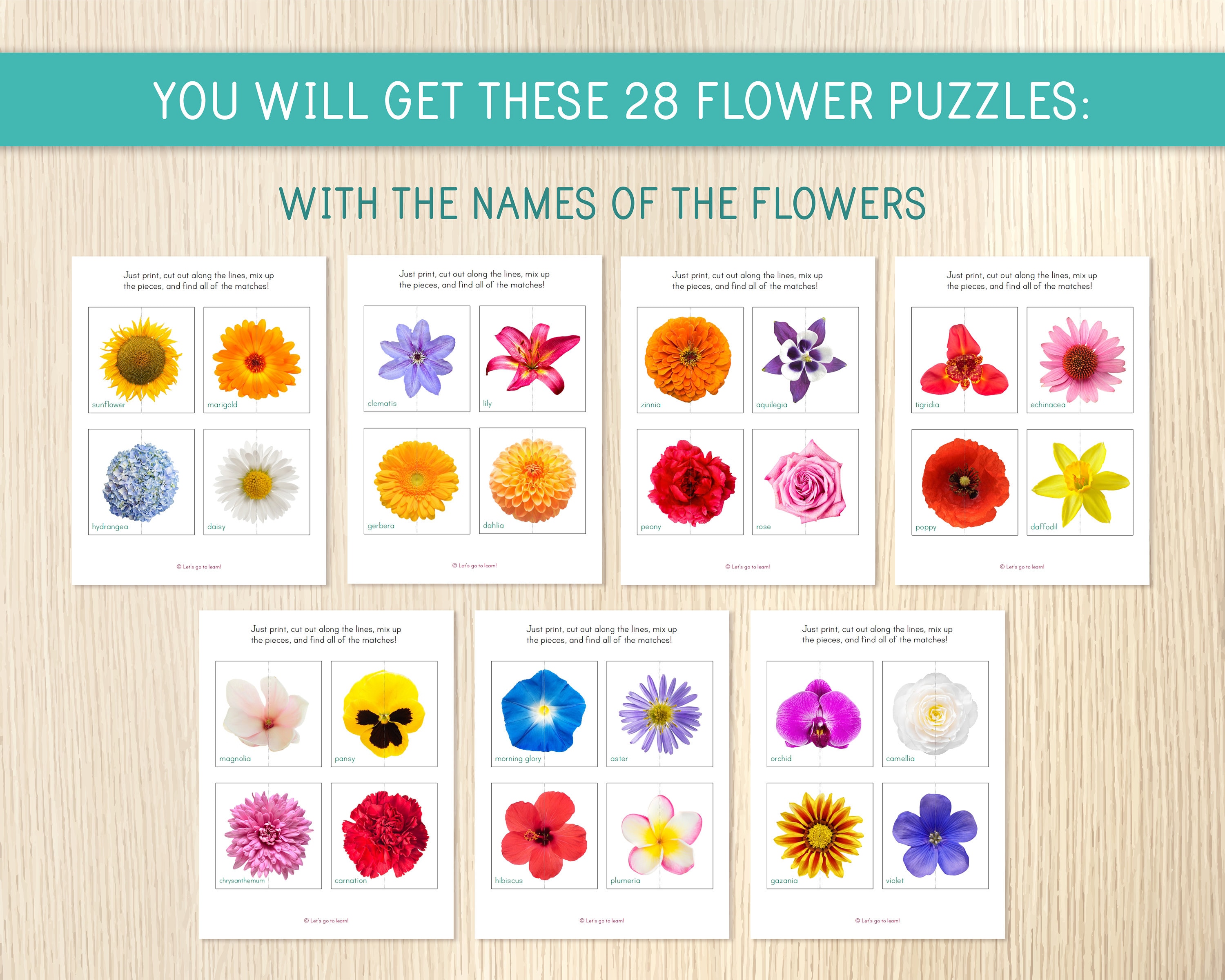 Flower Symmetry Puzzles Matching Activity 28 Cards Toddler - Etsy