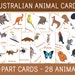 Fall Leaves 3-part Cards, 18 Nomenclature Cards, Real Images, Autumn ...