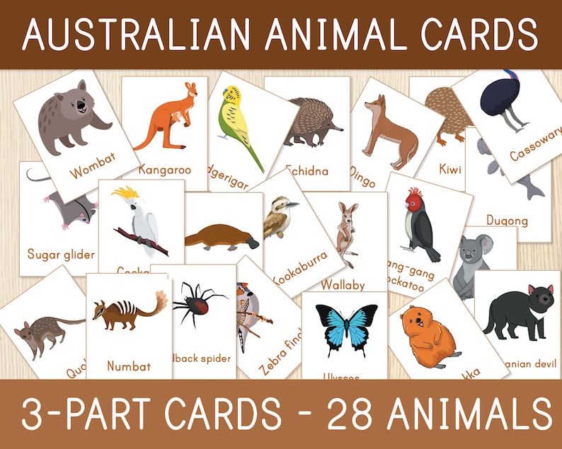 Australian Animals Cards - 3-part Cards - 28 Animal Cards - Toddler ...