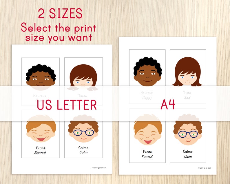 French & English Emotions Flashcards and Blank Face | Etsy