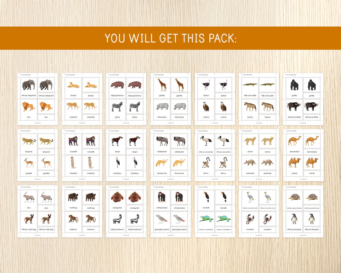African Animals 3-part Cards - Nomenclature Cards - Africa Unit Study ...