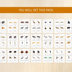 African Animals 3-part Cards - Nomenclature Cards - Africa Unit Study ...