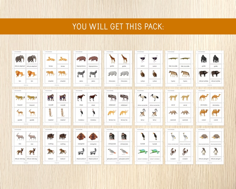 African Animals 3-part Cards Nomenclature Cards Africa Unit - Etsy