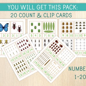 Insect Count & Clip Cards - Numbers 1-20 - Counting Flashcards ...