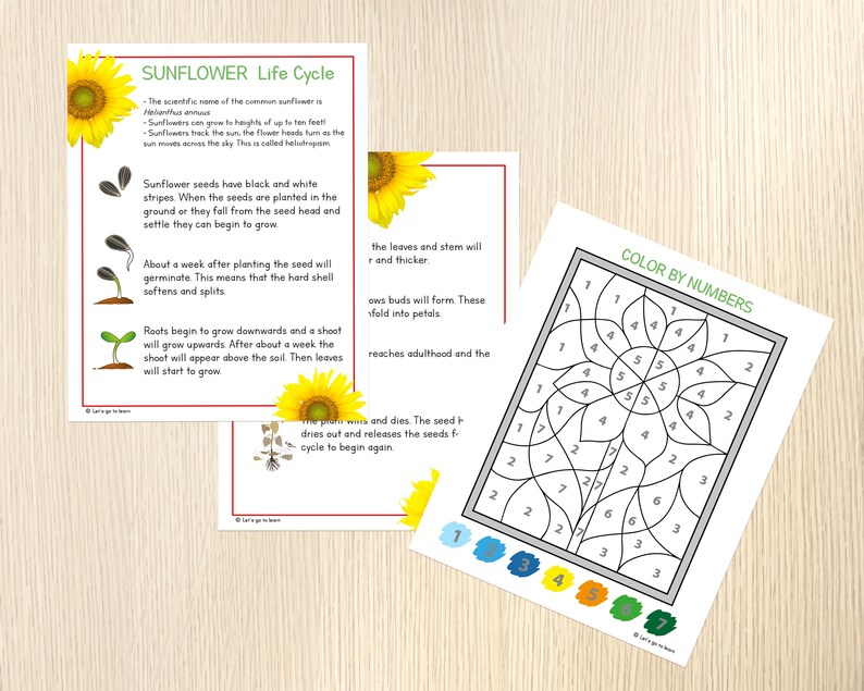 Sunflower Unit Study, Anatomy, Life Cycle 3 Part-cards, Charts ...