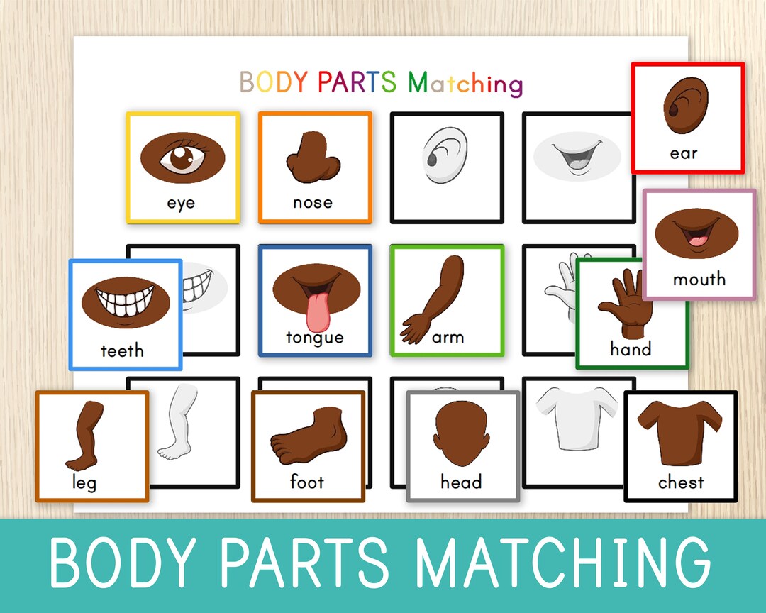 Body Parts Matching Activity for Toddlers - Human Body - Toddler Busy ...