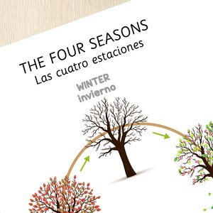 Seasons Poster in English & Spanish, Bilingual Poster, Classroom and ...