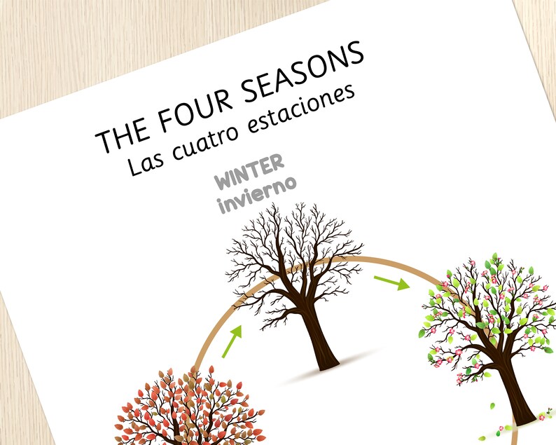 Seasons Poster in English & Spanish, Bilingual Poster, Classroom and ...