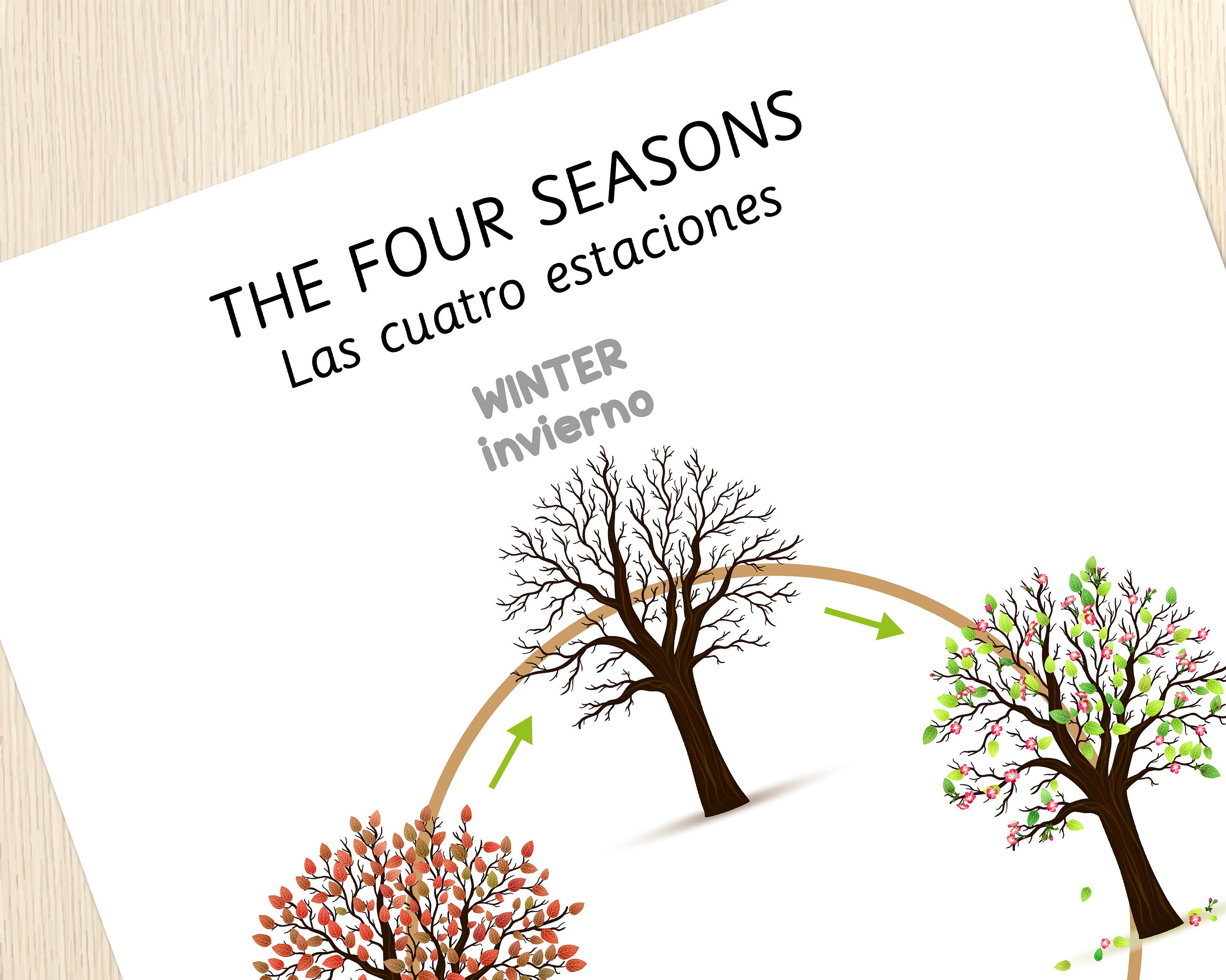 Seasons Poster in English & Spanish, Bilingual Poster, Classroom and ...