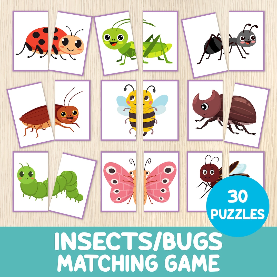 Bugs Matching Game - Insects Symmetry Cards - Toddler Matching Activity ...