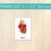 Human Organs 3-part Cards, Human Body , Nomenclature Cards, Human ...