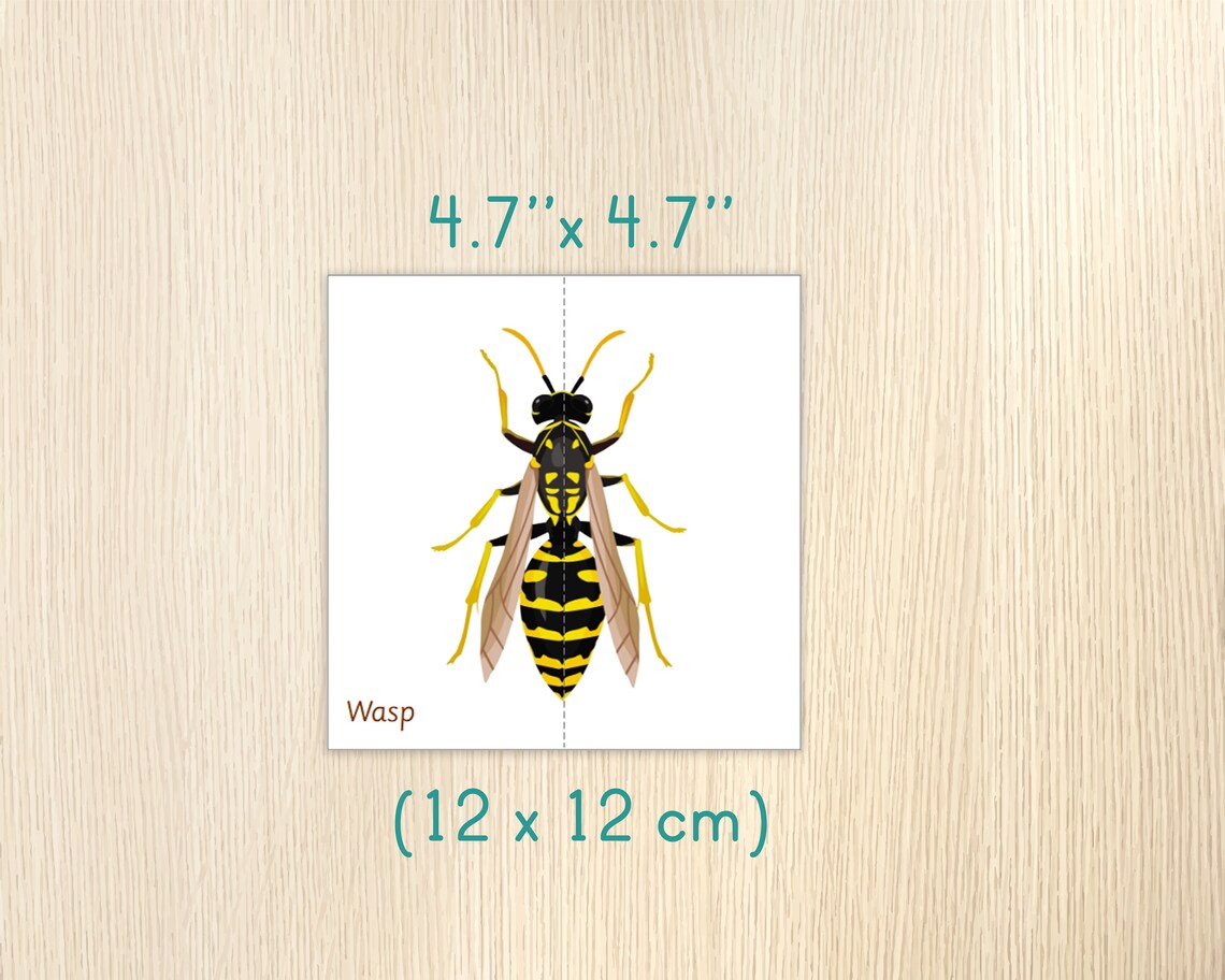 Insect Matching Activity 30 Insect Puzzles Symmetry Kids | Etsy