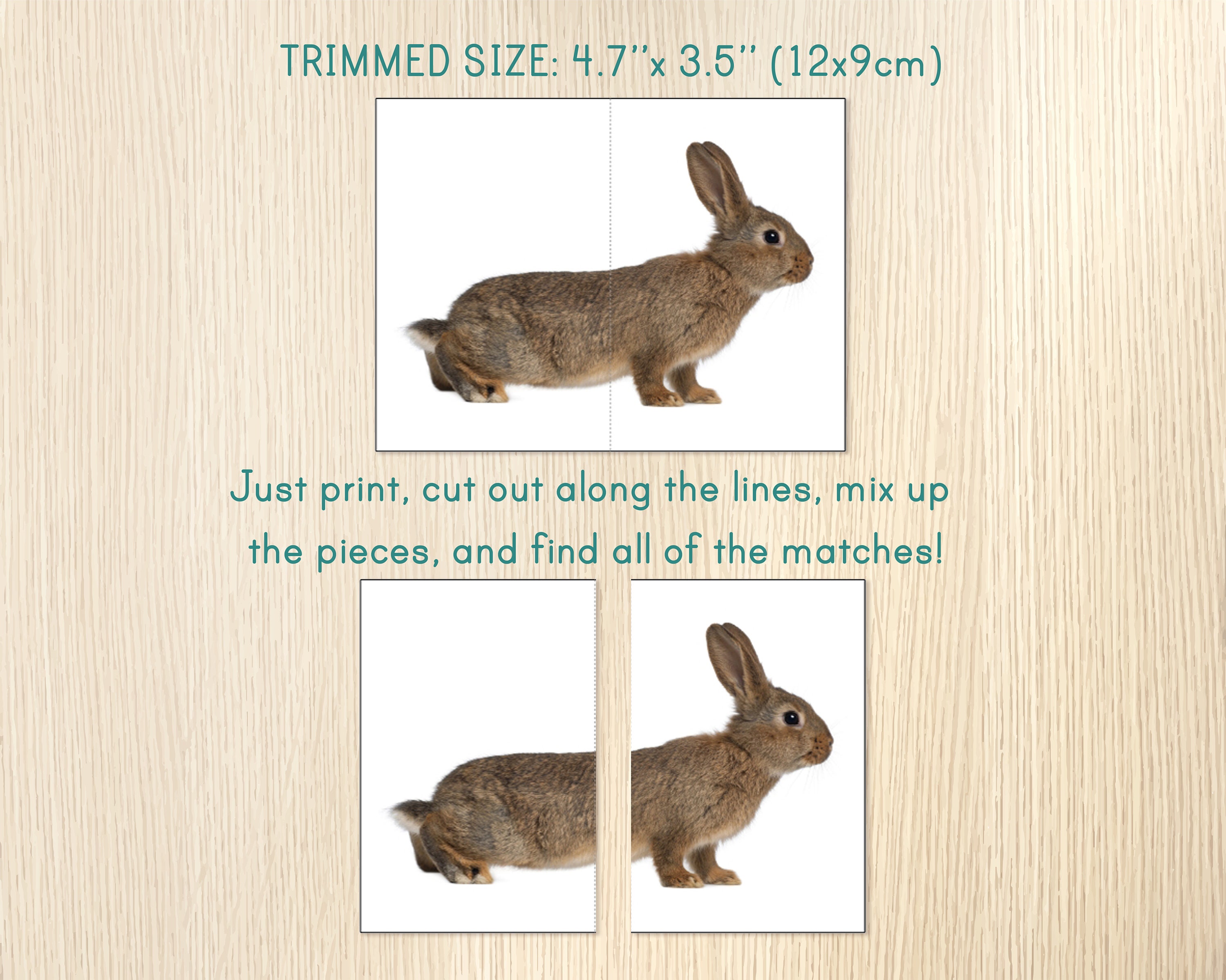 Animal Puzzles Matching Cards Symmetry Montessori Activity - Etsy