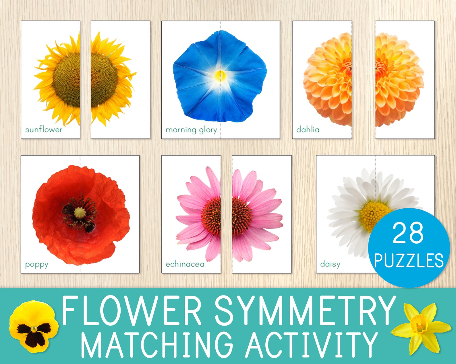Flower Symmetry Puzzles, Matching Activity, 28 Cards, Toddler Preschool ...