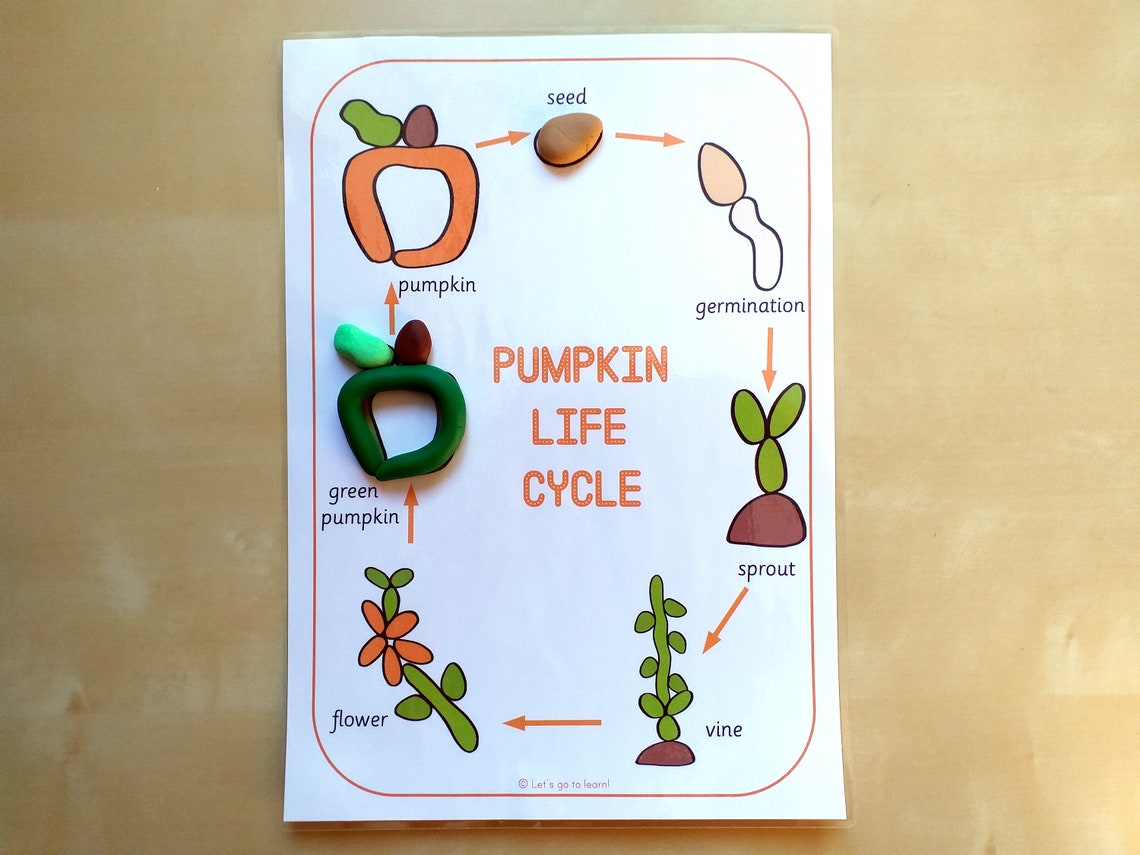 Pumpkin Life Cycle Playdought Mats, Play Doh Activity, Fall, Autumn ...