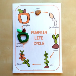 Pumpkin Life Cycle Playdought Mats, Play Doh Activity, Fall, Autumn ...