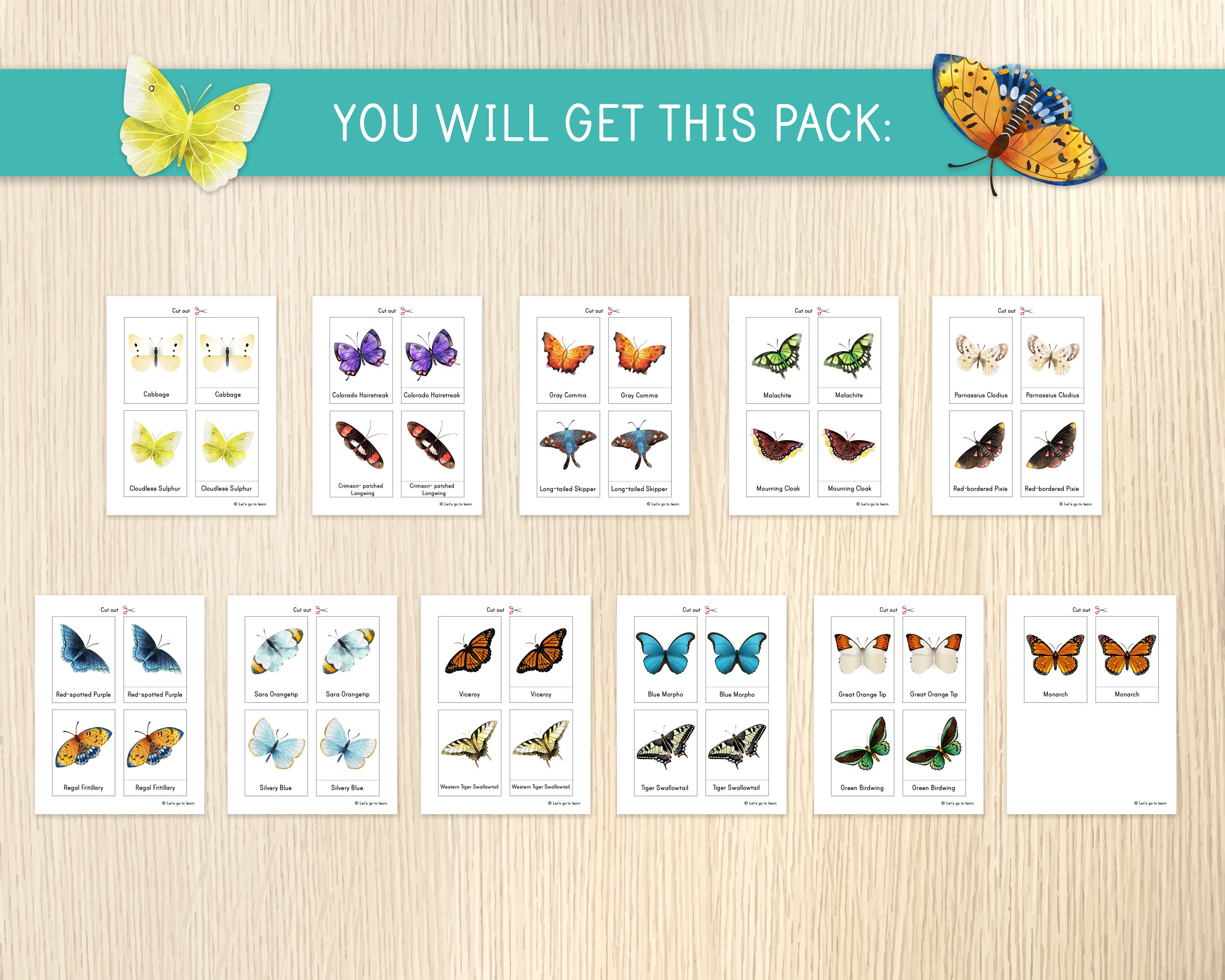 Butterfly 3-parts Cards - Montessori Nomenclature Cards - Flashcards ...