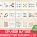 Spanish Nature Number Posters, Charts or Cards - 1 to 20, Counting ...