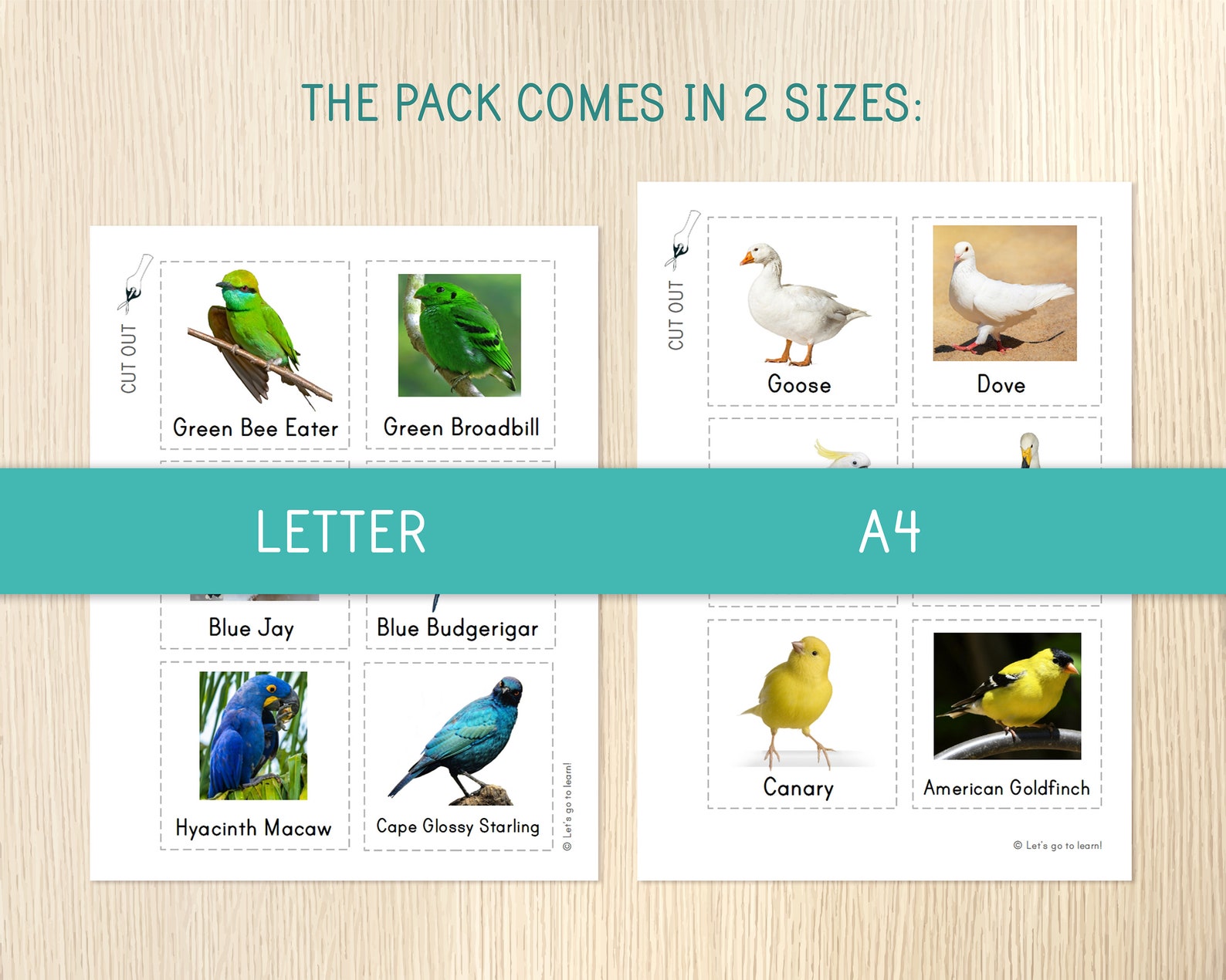 Bird Color Sorting Activity Birds and Colors for Kids - Etsy