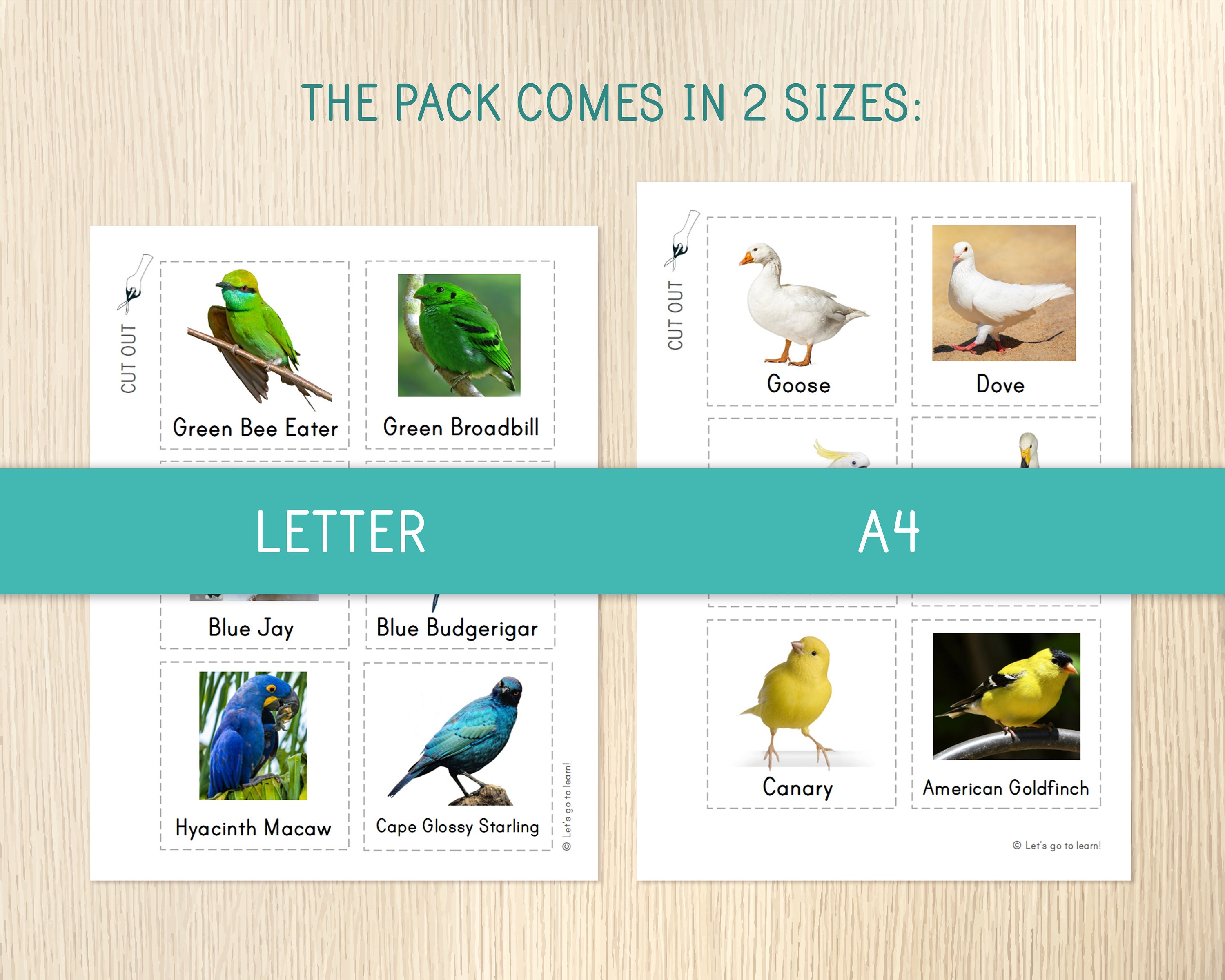 Bird Color Sorting Activity Birds and Colors for Kids - Etsy