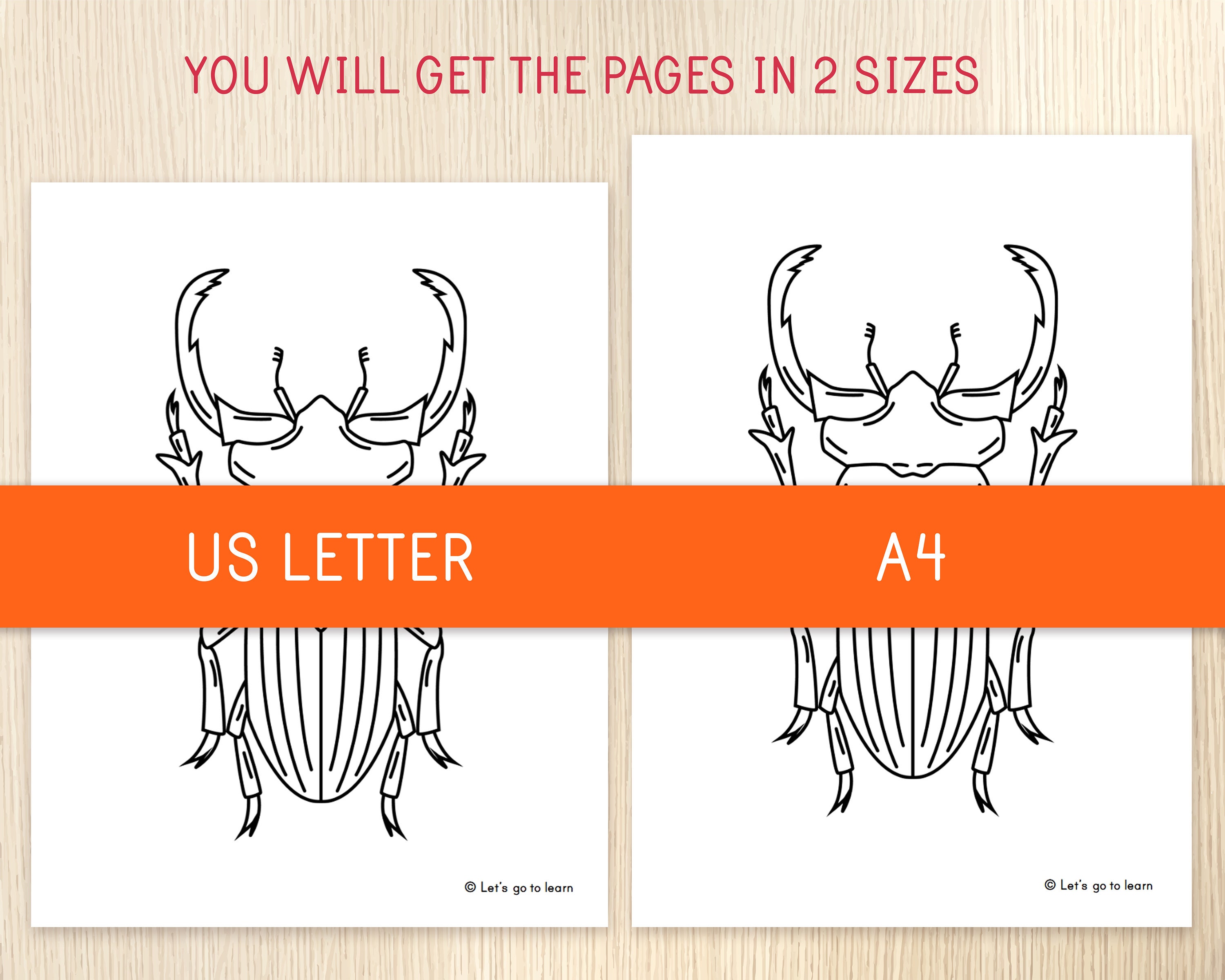 Beetles Coloring Pages, 8 Printable Sheets, Insects, Nature Study ...