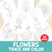 Flowers Trace & Color Worksheets, Tracing Practice, Spring Activity ...