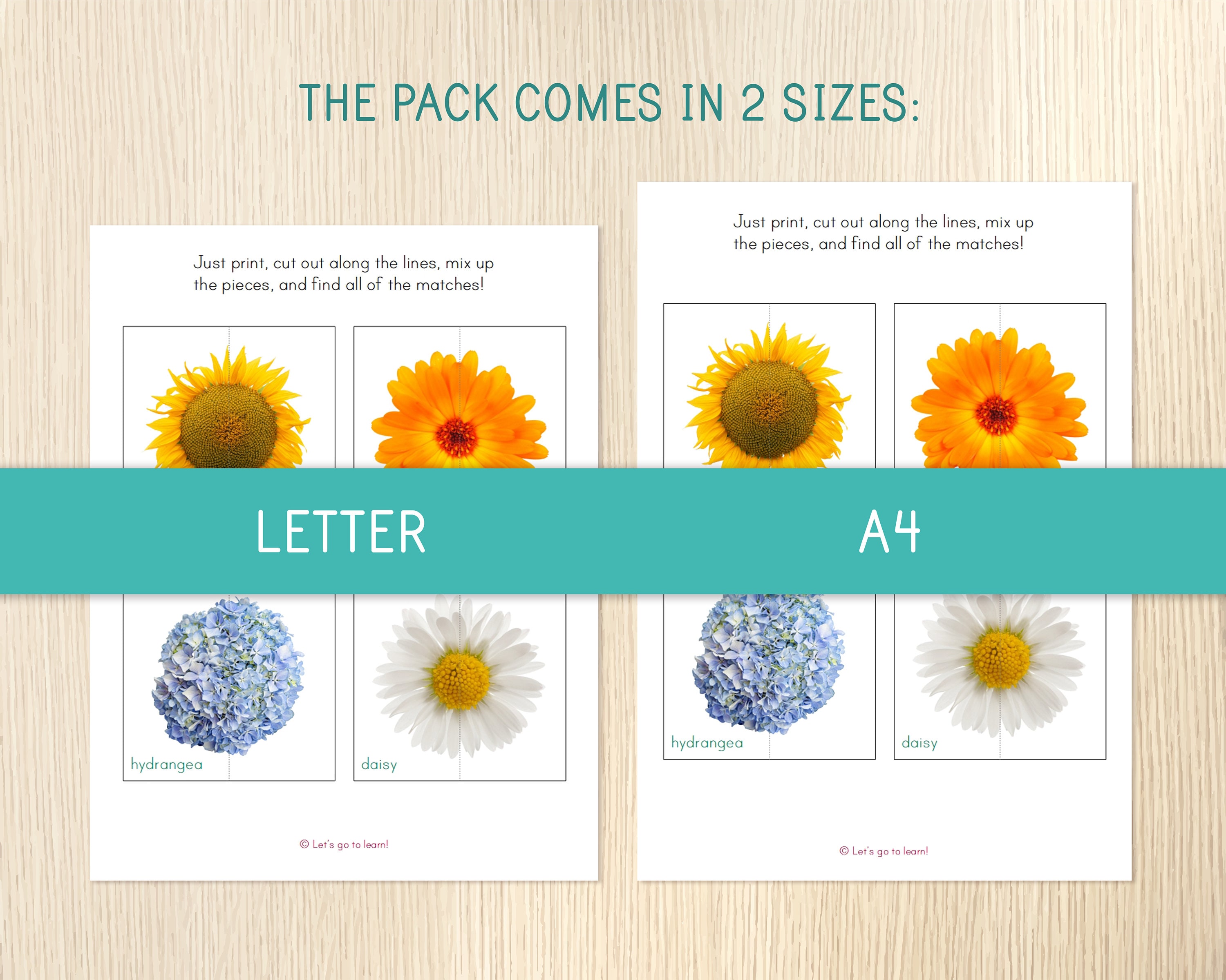 Flower Symmetry Puzzles Matching Activity 28 Cards Toddler - Etsy