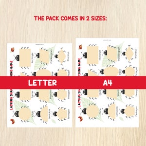 Ladybug Shapes Matching Activity, 2D Shapes Game, Spring Summer ...