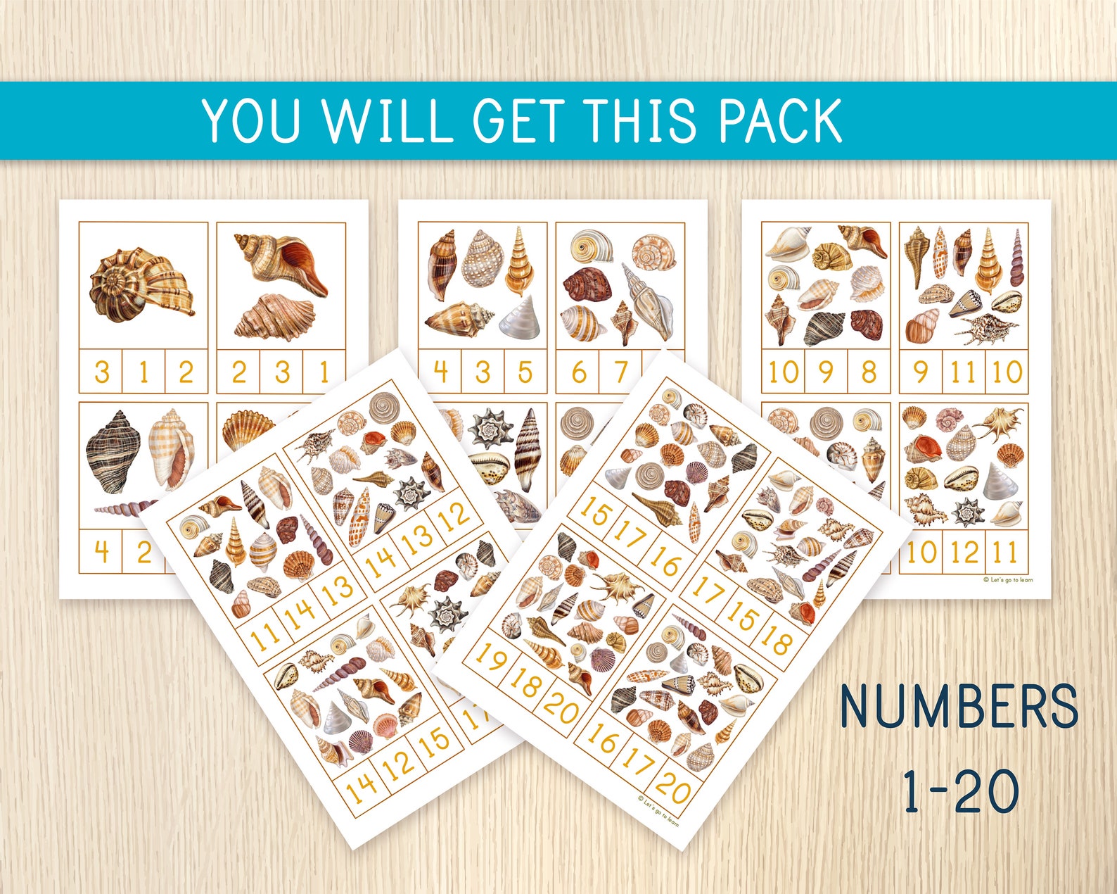 Counting Shells Clip Cards Numbers 1-20 Sea - Etsy