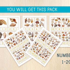 Counting Shells, Clip Cards, Numbers 1-20, Sea Shells,montessori ...