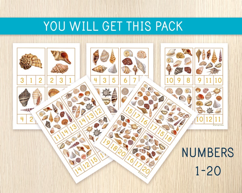 Counting Shells Clip Cards Numbers 1-20 Sea - Etsy