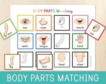 Body Parts Matching Activity for Toddlers, Human Body, Toddler Busy ...
