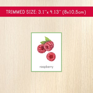 Berries Fruits Flashcards and Chart, Types of Berry Poster, Science ...