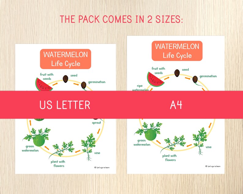 Watermelon Unit Study Parts Life Cycle Varieties - Etsy