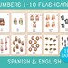 SPANISH-ENGLISH BUNDLE 1 Colors Numbers Emotions Weather - Etsy