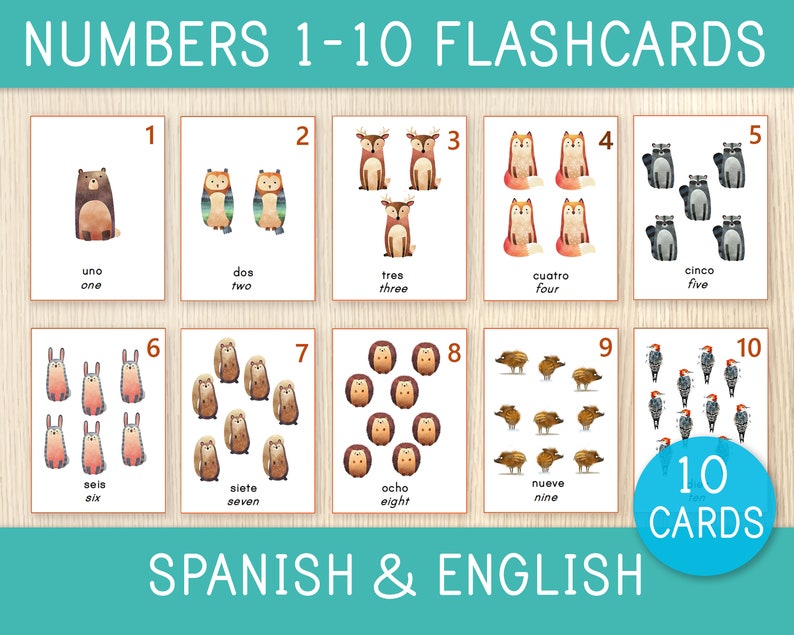 SPANISH-ENGLISH BUNDLE 1 Colors Numbers Emotions Weather - Etsy