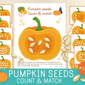 Pumpkin Seeds, Count and Match Game, Numbers 1-20, Fall - Autumn ...