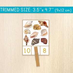 Counting Shells, Clip Cards, Numbers 1-20, Sea Shells,montessori ...