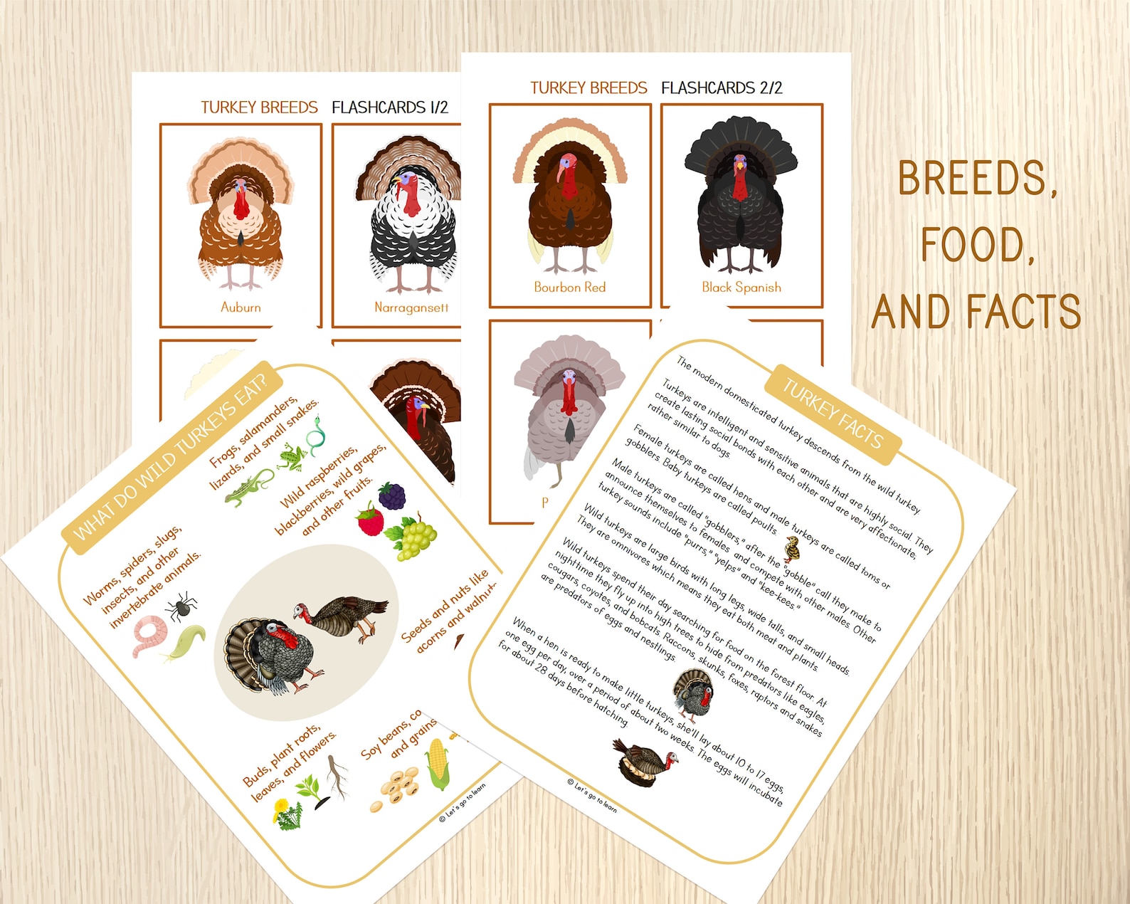 Turkey Unit Study, Anatomy, Life Cycle, Flashcards, Breeds, Worksheets ...