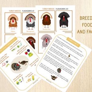 Turkey Unit Study, Anatomy, Life Cycle, Flashcards, Breeds, Worksheets ...