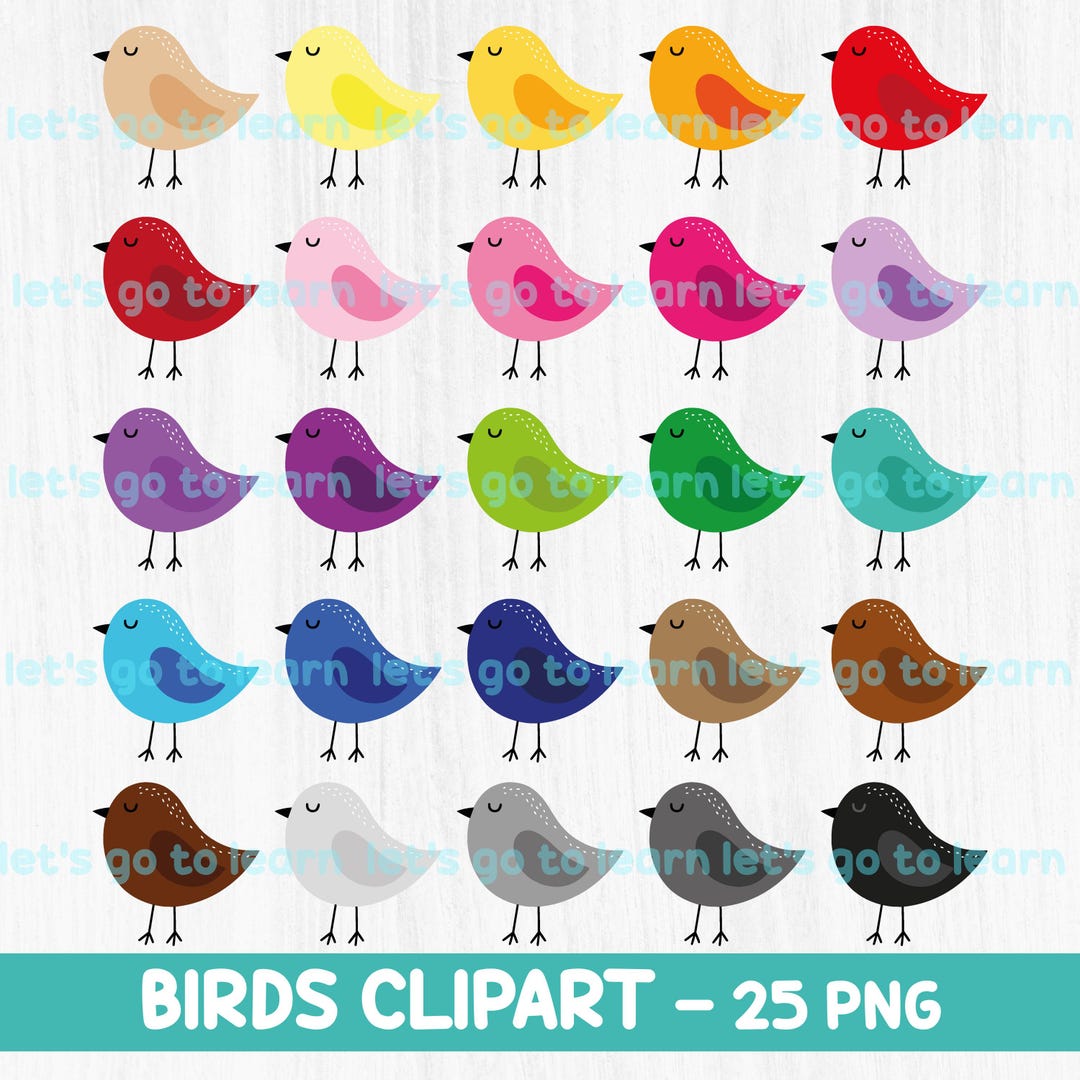 Bird Clipart Set - Birds Bundle PNG - Cute Birds Bundle - Sublimation ...