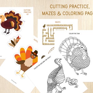 Turkey Unit Study, Anatomy, Life Cycle, Flashcards, Breeds, Worksheets ...
