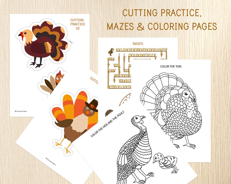 Turkey Unit Study, Anatomy, Life Cycle, Flashcards, Breeds, Worksheets ...