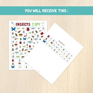 Insects I Spy - Bug Counting Activity - Seek & Find Printable Game ...