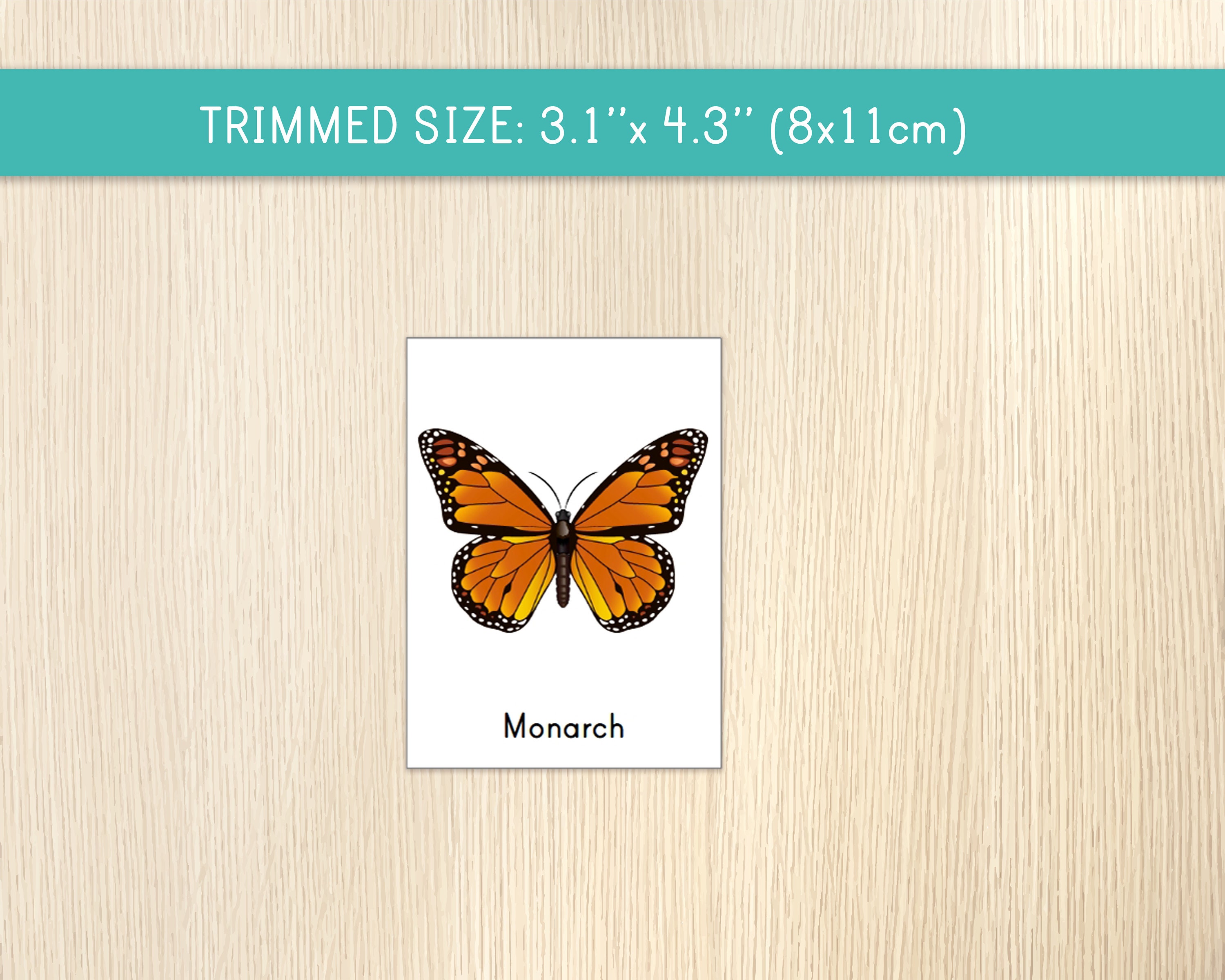 Butterfly 3-parts Cards - Montessori Nomenclature Cards - Flashcards ...