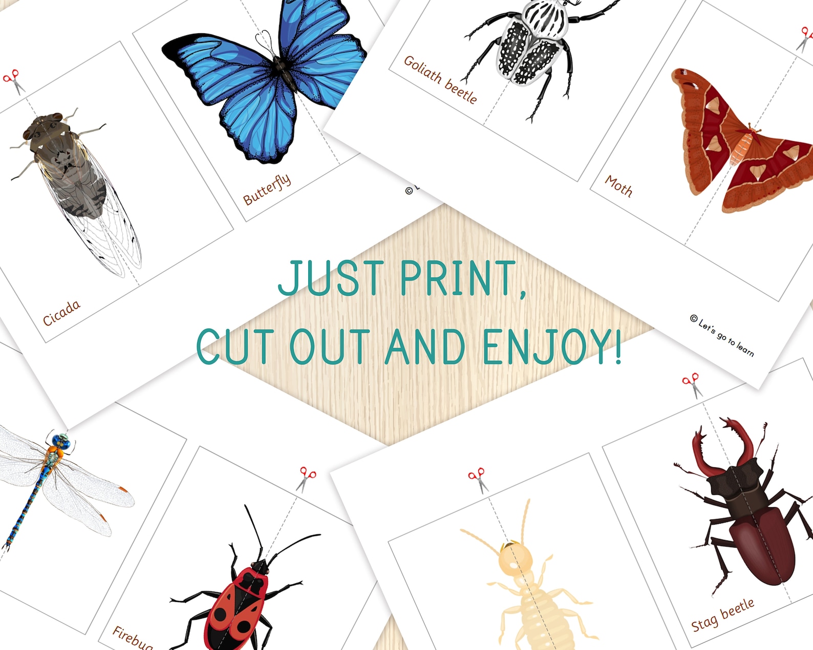 Insect Matching Activity 30 Insect Puzzles Symmetry Kids | Etsy