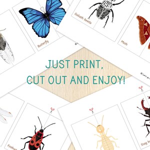Insect Matching Activity, 30 Insect Puzzles, Symmetry, Kids Puzzles ...