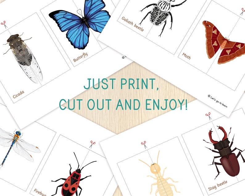 Insect Matching Activity, 30 Insect Puzzles, Symmetry, Kids Puzzles ...