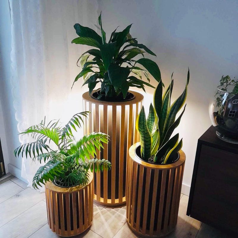 Planter Lamp - Etsy